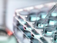 About Us - Odan Laboratories Ltd.